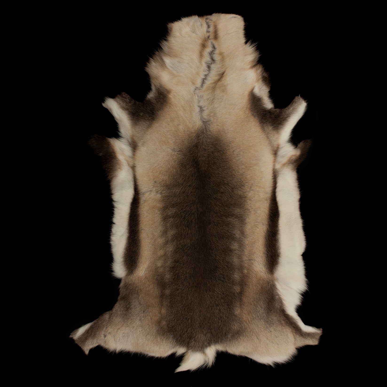 Caribou / Reindeer Skin - Natural – Brador Fabrics